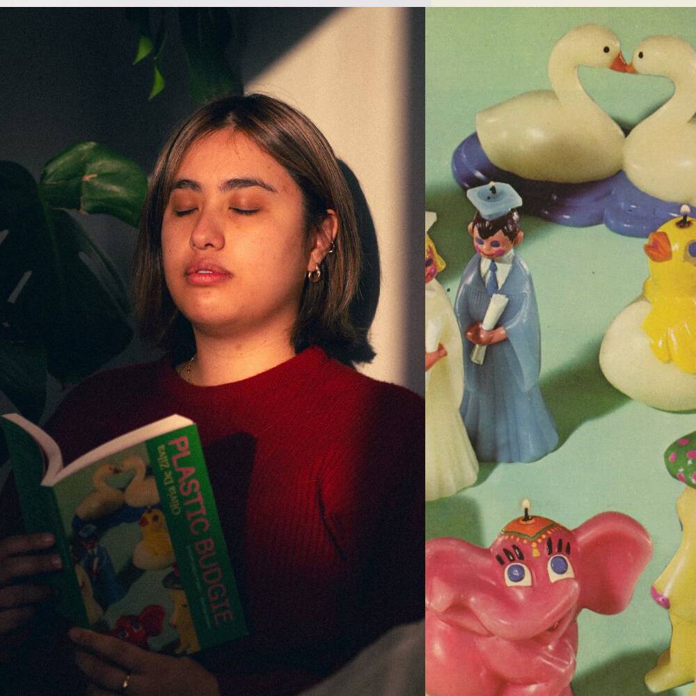 Flip Through My Flaps - Ramona Magazine